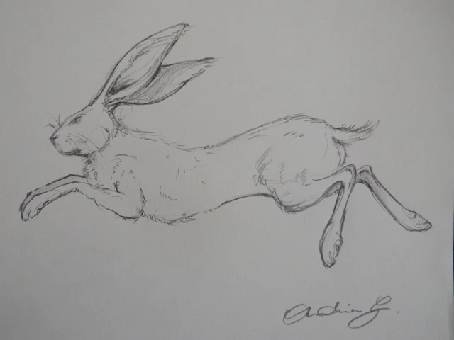 ORIGINAL SIGNED SMALL pencil drawing of a hare leaping jumping on ivory ...