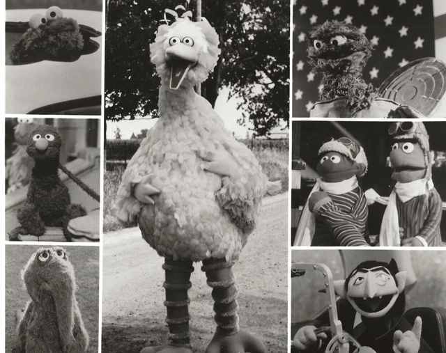 SESAME STREET-BIG BIRD-COOKIE Monster-Bert & Ernie-Oscar the Grouch ...
