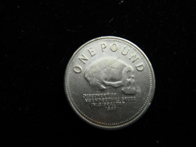 DISCOVERY OF NEANDERTHAL Skull In Gibraltar-One Pound Coin 2007 £29.99 ...