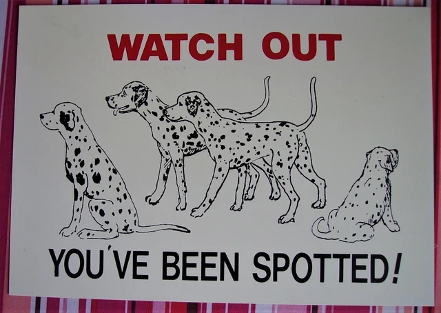 PLASTIC DOG SIGN - Watch Out You've Been Spotted EUR 1,47 - PicClick IT