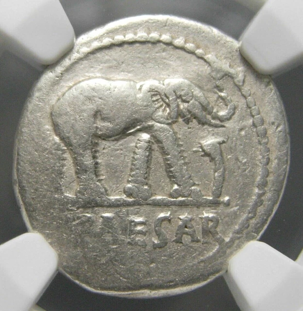 JULIUS CAESAR AR Denarius (49-48 BC), Elephant, Certified NGC Ch F ...