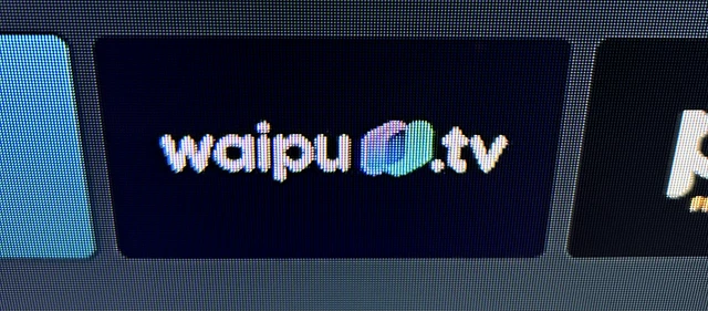 WAIPU TV PERFECT Plus Paket 12 Monate Gutschein EUR 109,00 - PicClick DE