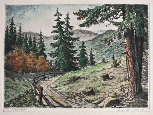 HUGO EICHLER THÜRINGER Wald Landschaft Herbst signiert kolorierte Radierung EUR 50,00 - PicClick DE