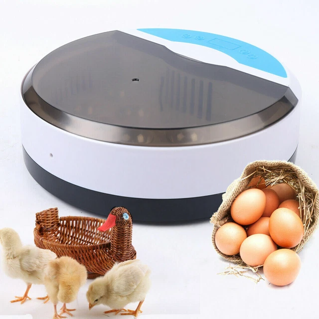 9-EGG BREEDING APPARATUS surface breeder fully automatic incubator ...