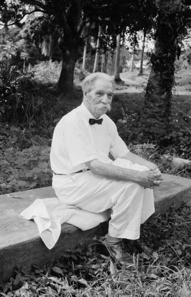 GERMAN THEOLOGIAN MEDICAL missionary Albert Schweitzer sits on - 1965 ...