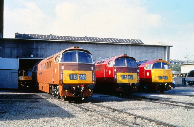 234 COLOUR RAILWAY Slide Class 52 Lineup At Laira £2.99 - PicClick UK