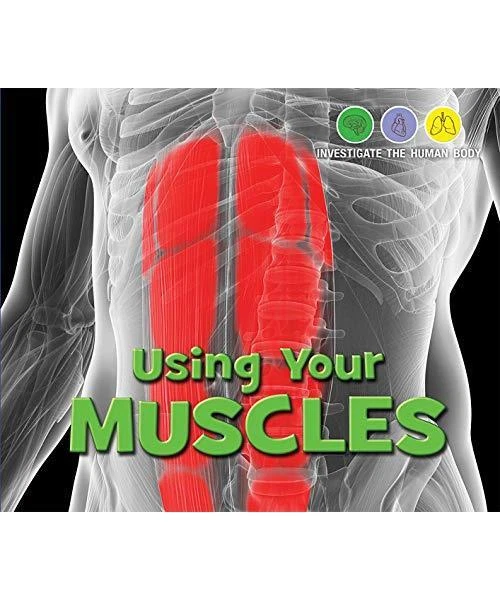 USING YOUR MUSCLES (Investigate the Human Body), Furgang, Kathy EUR 27 ...