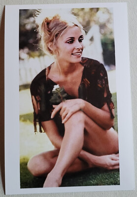 ACTRESS SHARON TATE Sexy Movie Star Photo in Format approx. 13x19cm #8205 £6.17 - PicClick UK