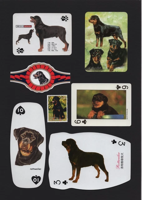 ROTTWEILER MOUNTED SET Vintage Dog Collectable Cards Stamps And Bands £ ...