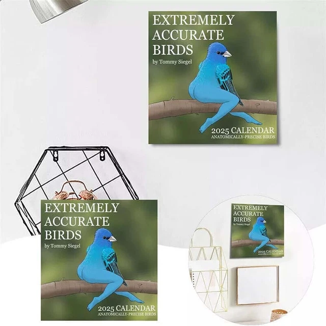 2025 CALENDAR OF Extremely Accurate Birds 2025 Bird Calendar Wall ...