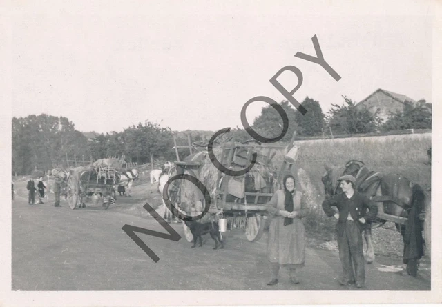 FOTO WK II Frankreich Refuges Flüchtlinge X32 EUR 34,90 - PicClick DE