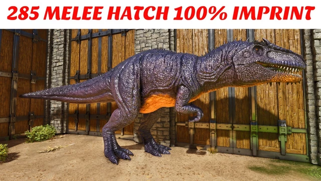 ARK SURVIVAL ASCENDED PvE PC/XBOX/PS5 Giganotosaurus 285m (giga) ASA ...