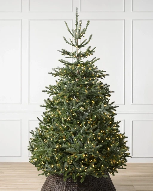 BALSAM HILL NORDMANN Fir Christmas Tree PreLit LED Clear Lights ( 5ft ...