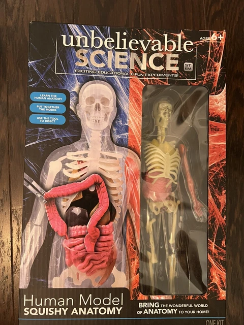 UNBELIEVABLE SCIENCE HUMAN Model Squishy Anatomy 9" Figure - Science ...
