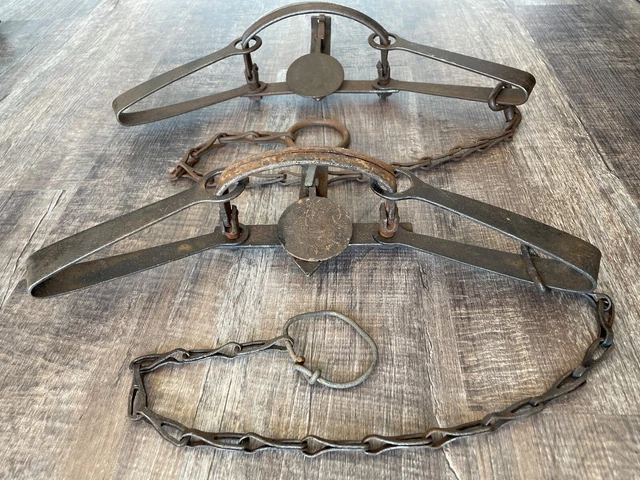 S. NEWHOUSE #3 AND #4 (stamped spring) trap set. Chain ring & strong ...