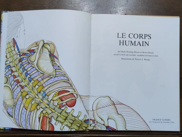 Anatomie Corps Humain