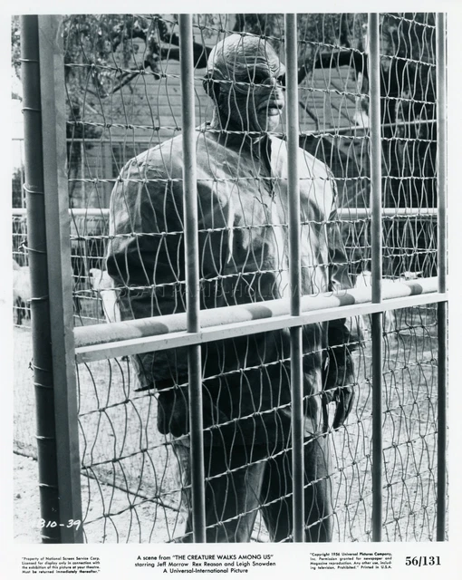 DON MEGOWAN THE Creature Walks Among Us 1956 Vintage Photo #2 R80 EUR ...