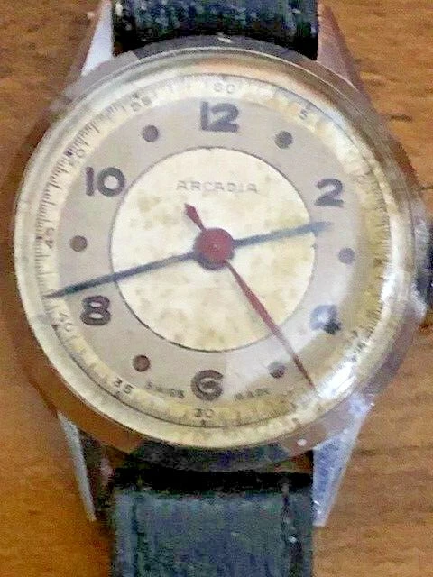 RARE VINTAGE SWISS Made Arcadia Acier Inoxydable Mechanical Ladies ...