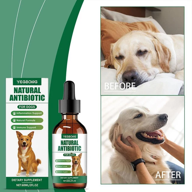 PET HEALTH DROPS Dogs Regulate Stomach Vomiting Stomach Protection Cats ...