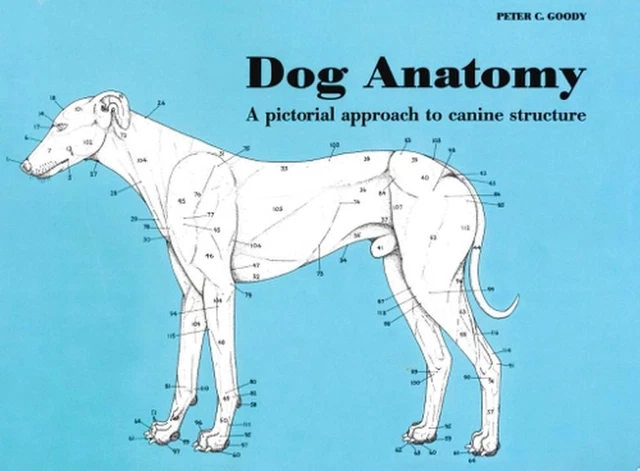 DOG ANATOMY: A Pictorial Approach to Canine Structure by Peter Goody ...