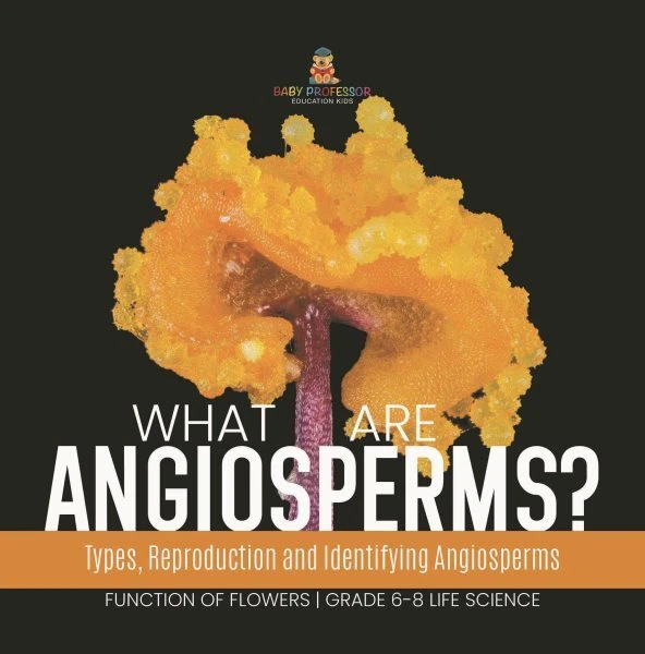WHAT ARE ANGIOSPERMS? Types, Reproduction and Identifying Angiosperms ...