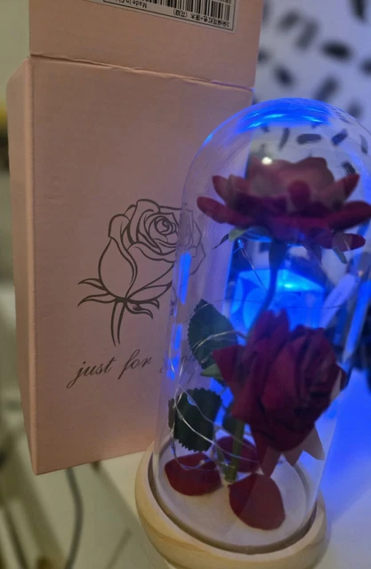 LED ROSE NIGHT Light Clear Glass Dome Display with Wooden Base Blue ...