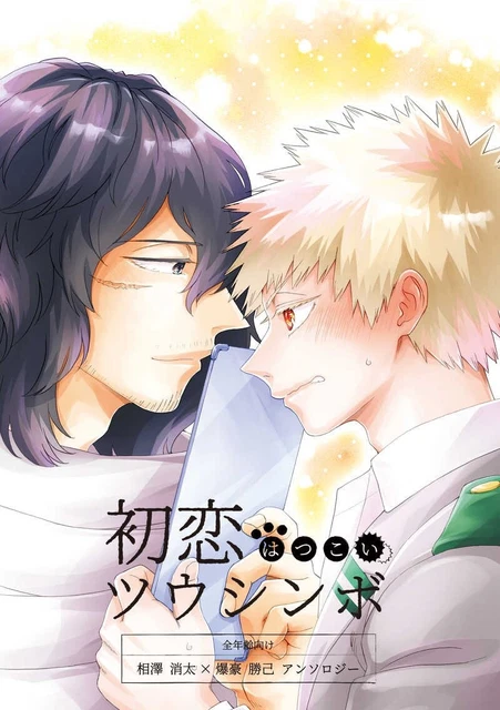 Boku No Hero Academia Yaoi Doujinshi Aizawa X Baku Eur 2268 Picclick De
