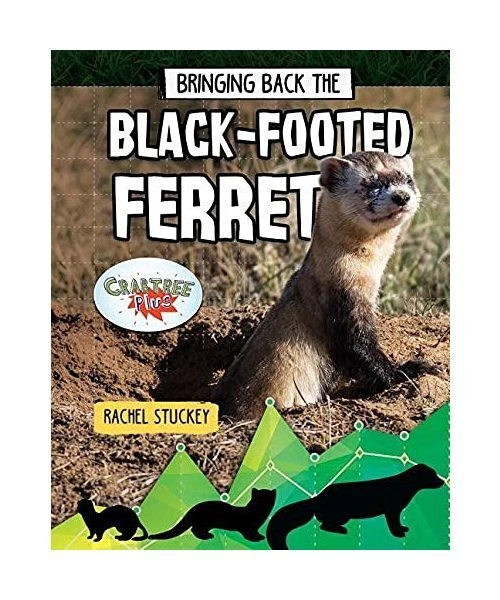BRINGING BACK THE Black-Footed Ferret, Rachel Stuckey EUR 8,99 ...
