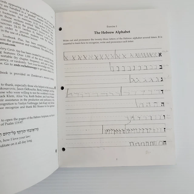 BASICS OF BIBLICAL Hebrew by Gary D Pratico, Miles V Van Pelt Grammar ...