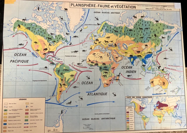 ITEM OCCUPATION POSTER Set Table World Map Wildlife America Africa Asia ...