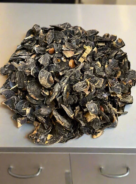 AMALTAS PODS PURGING Cassia Fistula Ayurveda Amaltas 50gm £8.00 ...