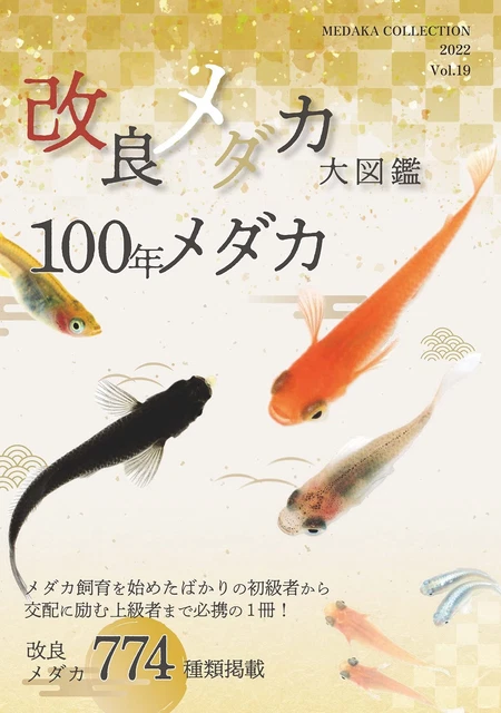 100 YEARS OF Medaka varieties Medaka Collection Japanese Rice Fish ...