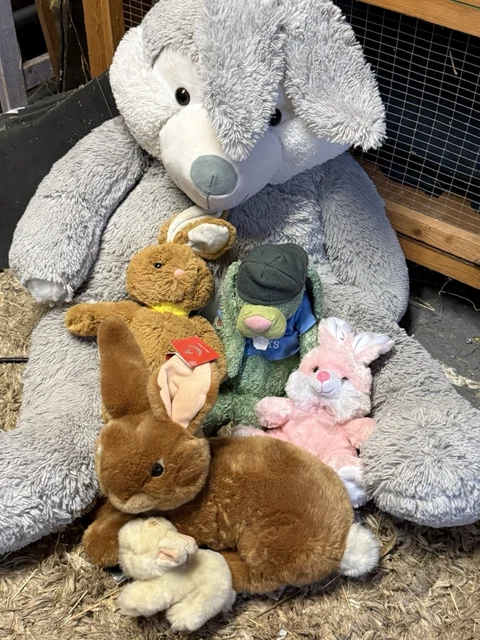 RABBIT TEDDY SOFT Toy Bundle £12.92 - PicClick UK