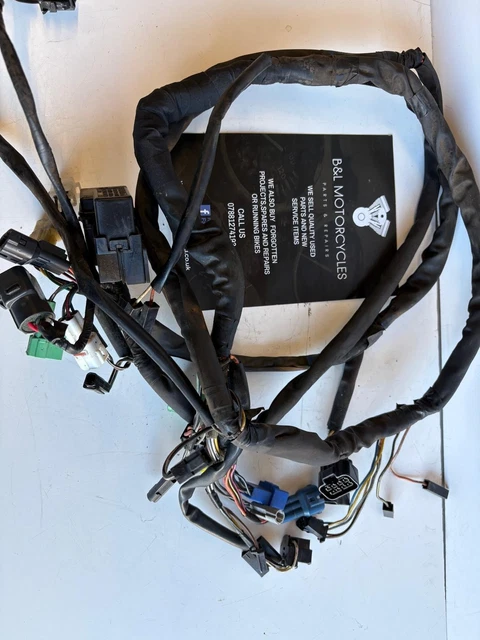 Suzuki Bandit Wiring Loom