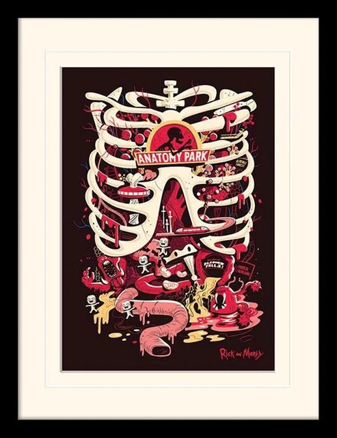 RICK AND MORTY: Pyramid - Anatomy Park 30X40 Cm (Art Print / Stampa ...