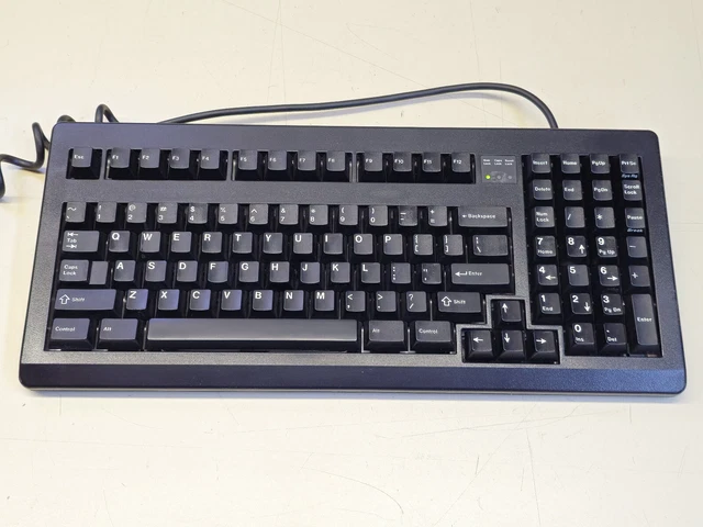 VINTAGE 101-KEY COMPACT Cherry PS/2 Keyboard Doubleshot Keycaps G81 ...
