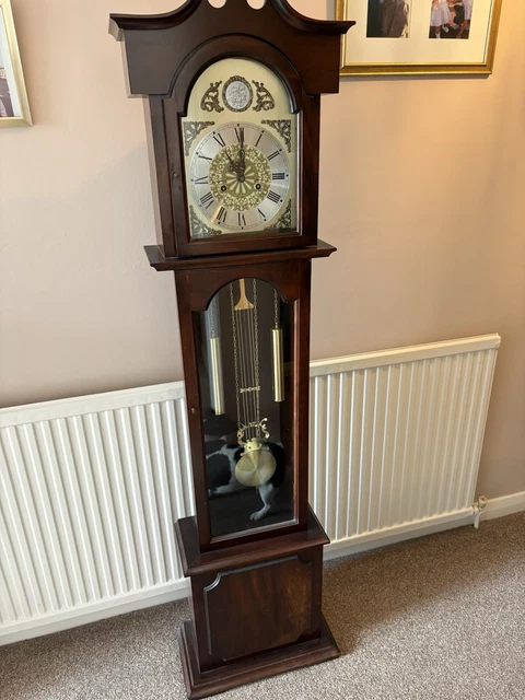 TEMPUS FUGIT LONGCASE Grandfather Clock Functional In Full Working ...