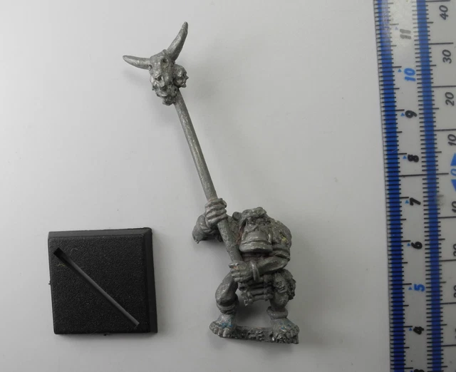 SAVAGE ORC COMMAND STANDARD BEARER Metal Orcs Orruks Army Warhammer ...