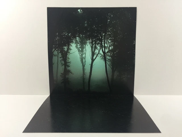 CUSTOM SPOOKY HAUNTED forest ikea detolf 12" & 1/6th scale diorama ...