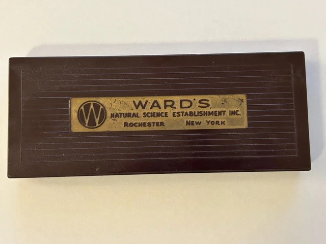 VINTAGE WARD'S NATURAL Science Establishment dissection kit case with 4 ...