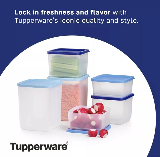 TUPPERWARE STACKING SQUARE Storage 12-Piece Set,Clear Containers W/Blue ...