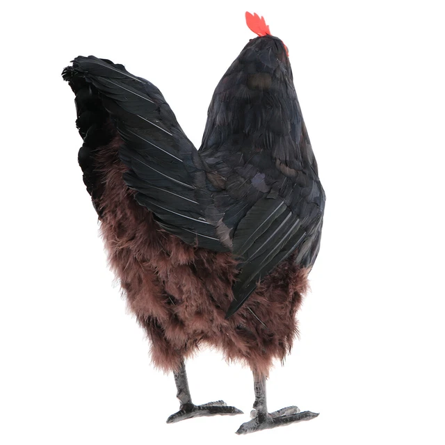 LIFELIKE ROOSTER REALISTIC Chicken Real Soft Feather Replica ...