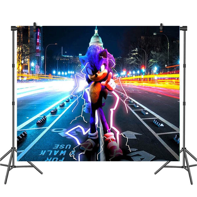 SONIC HEDGEHOG BACKDROP Birthday Boys Party Photo Background Banner ...