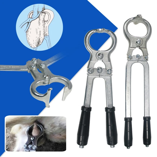ENGLAND EMASCULATOR BLOODLESS Castration Burdizzo Castrator Veterinary ...
