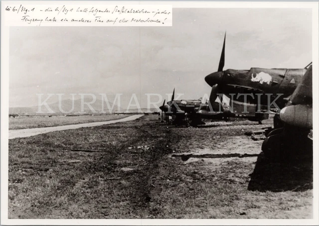 D534 PHOTO WEHRMACHT archive repro Luftwaffe aircraft ju87 stuka emblem ...
