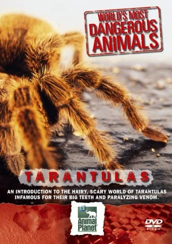 WORLD'S MOST DANGEROUS Animals - Tarantulas - DVD EUR 2,63 - PicClick IT