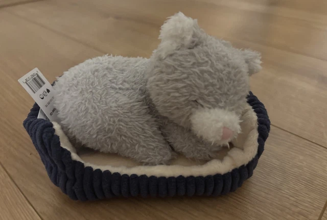 JELLYCAT NAPPING NIPPER Cat - SOFT PLUSH TOY Brand New with tags £28.00 ...