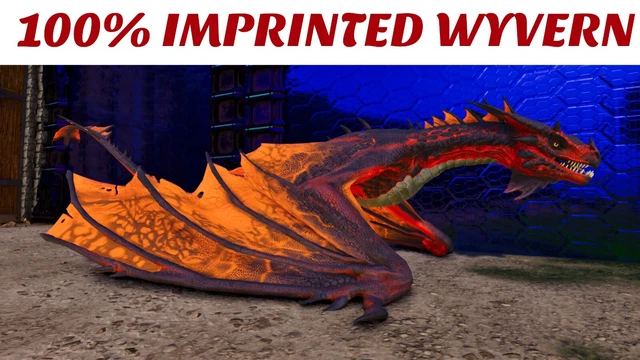 🔥ARK SURVIVAL ASCENDED PvE PC/XBOX/PS5 High Level Wyvern 100% Imprinted ...