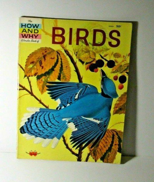 VTG 1960 HOW and Why Book of Birds Hummingbird Blue Bird Owl Roadrunner ...