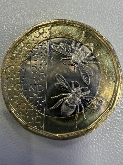 KING CHARLES 2025 £1 Bee Coin £10.80 - PicClick UK